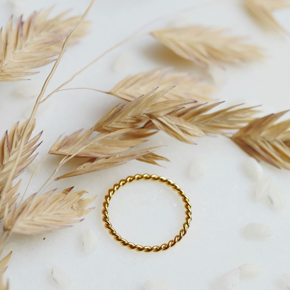 Ring Adamantus (massief 18k goud) – studio paus